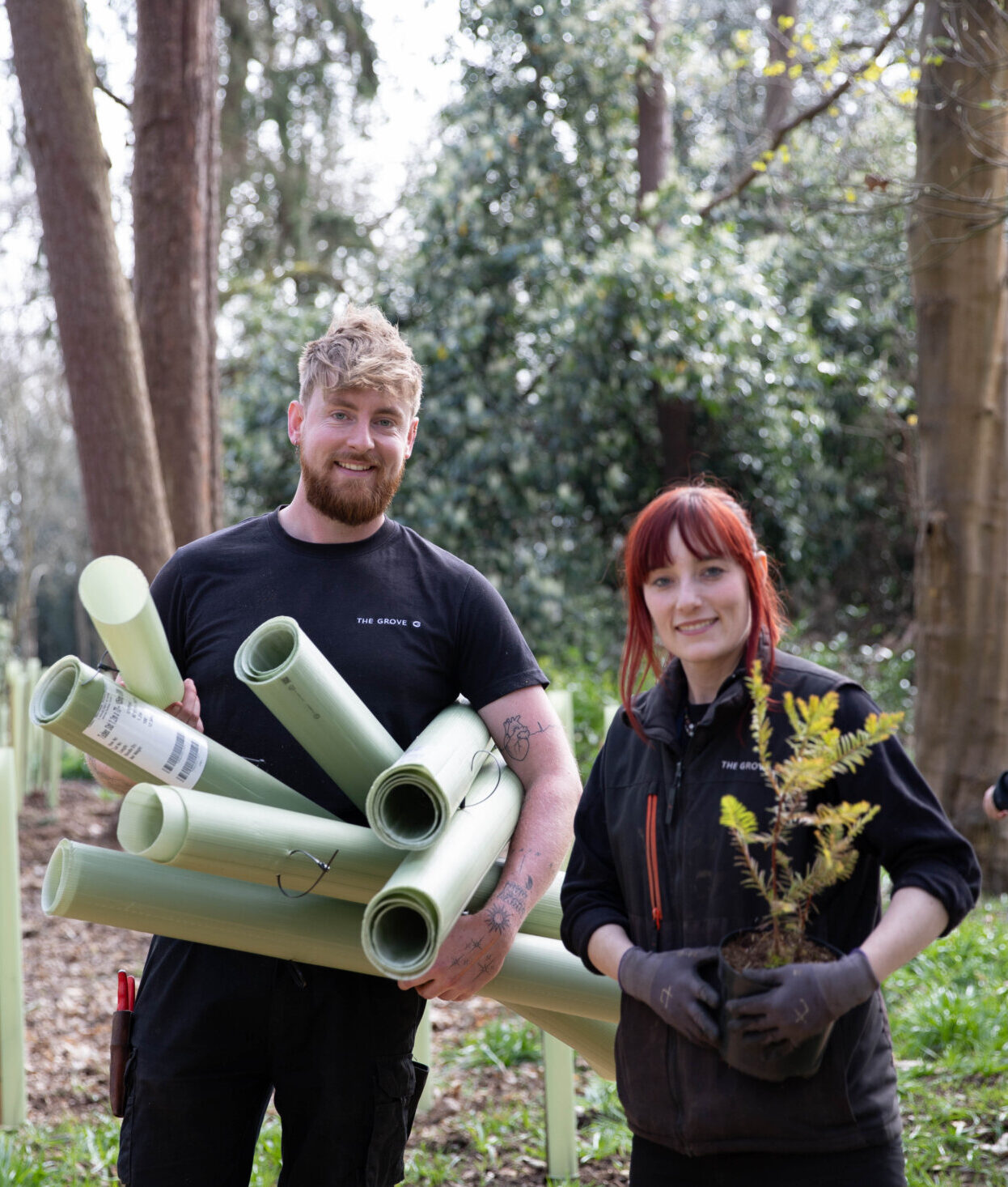 Careers & Current Vacancies At The Grove